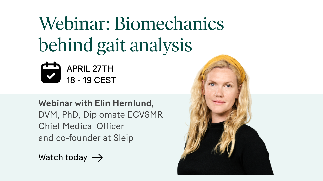 Blogs, tutorials, webinars about objective gait analysis for equine vets